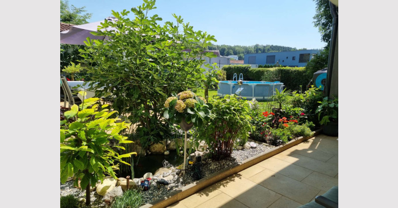 Schönster Garten 2021 - Sabrina aus Linz-Land