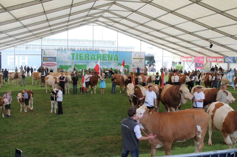 150 Jahre Rieder Messe: Jubiläum mit umfangreichem Programm