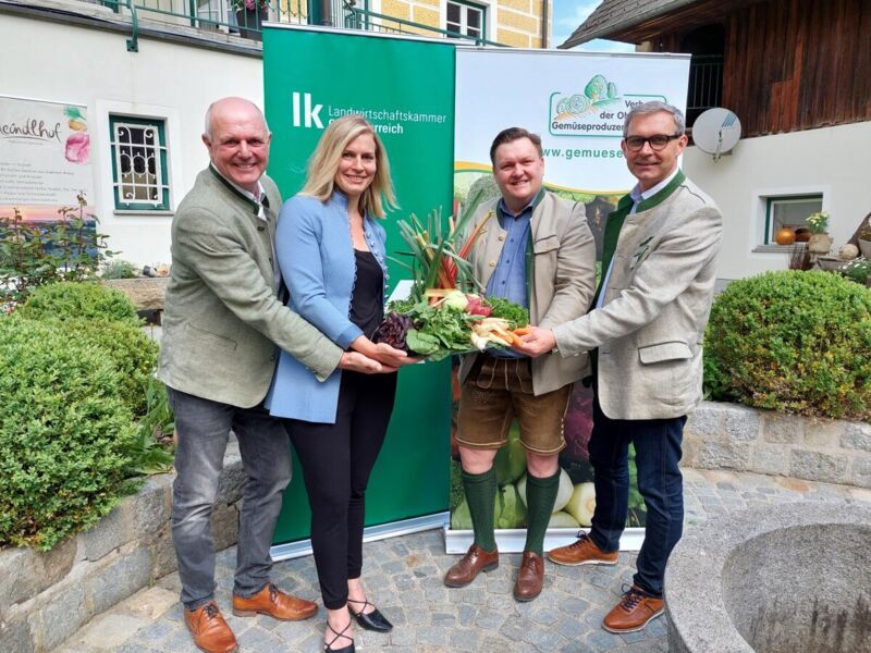 Saisonauftakt für heimisches Gemüse