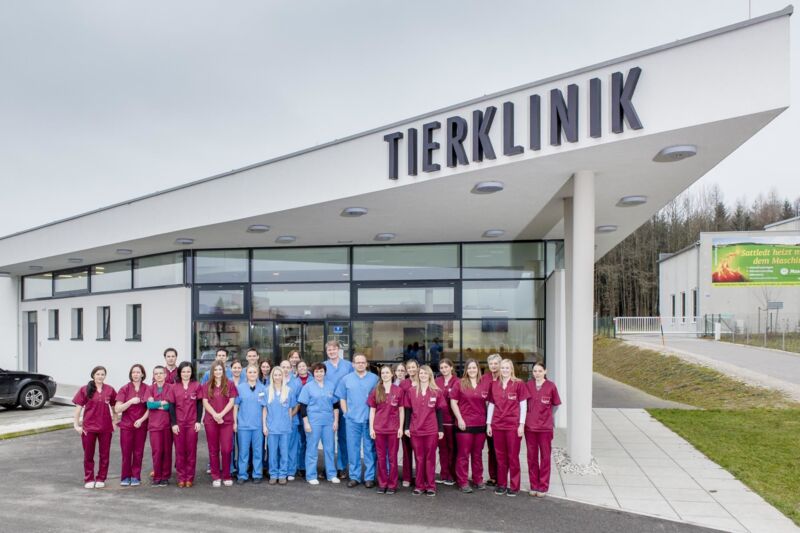 Tierklinik Sattledt: International bekannt