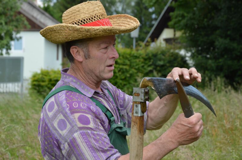 Sensenmähen mit Musik