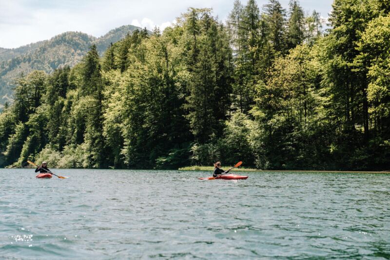 Im Gleinkersee, Elisabethsee und Stausee Klaus herrscht ausgezeichnete ...