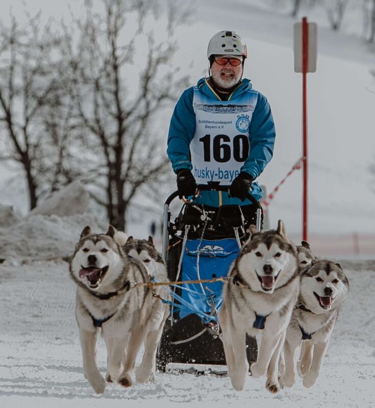 „Saiga Hanser Wolves“: unterwegs mit den St. Johanner Schlittenhunden