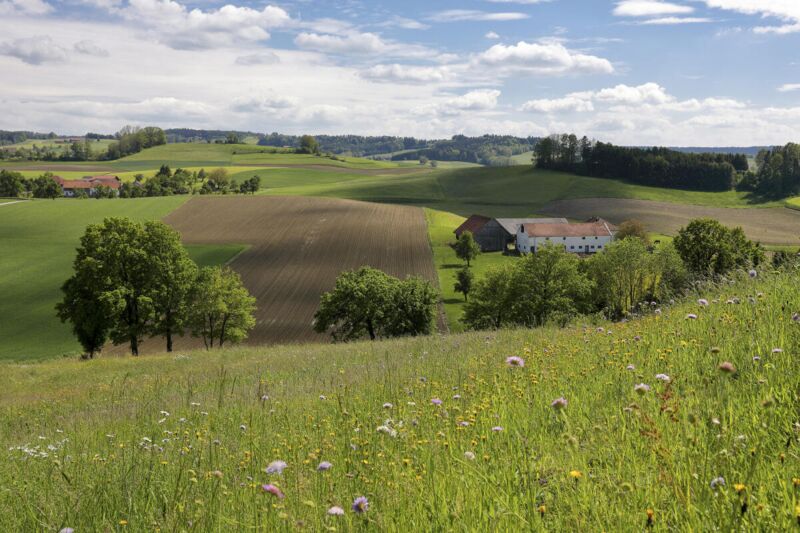 Kalender und Karten aus dem Innviertel