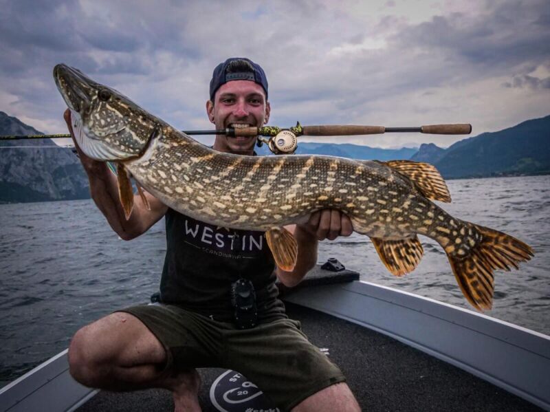 Interview mit Biss: Youtuber Daniel Hubner erzählt von seiner Liebe zum ...