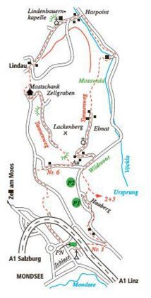 Am Tannenweg rund um den Lackenberg