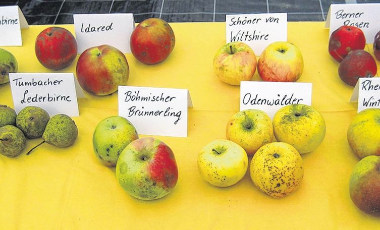 Tag der alten Obstsorten