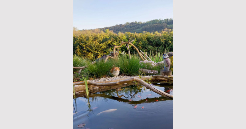 Cool am Pool - Eva-Maria aus Vöcklabruck