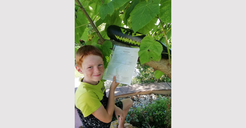 Zeig's Zeignis - Benjamin aus Ried